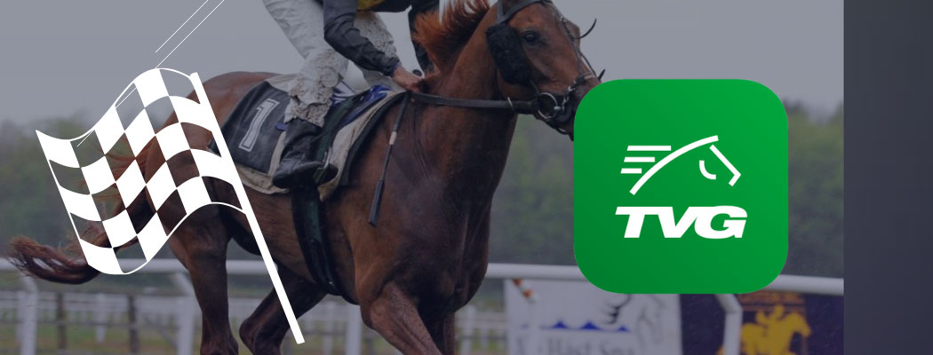 A guide to the best US horse racing betting sites